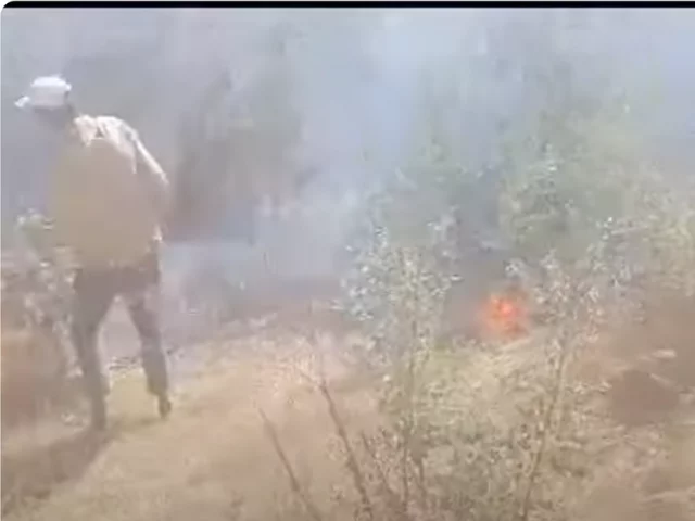 Feu de brousse à Dianké Kaw : Un désastre incontrôlé depuis trois jours