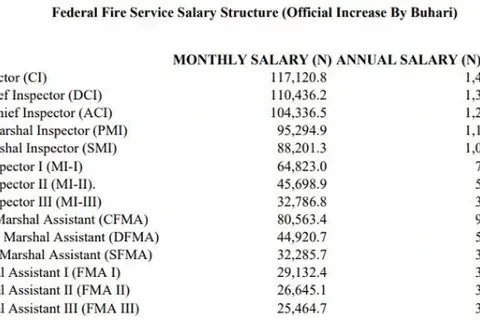 Federal Fire Service Salary Structure (Official Increase By Buhari)