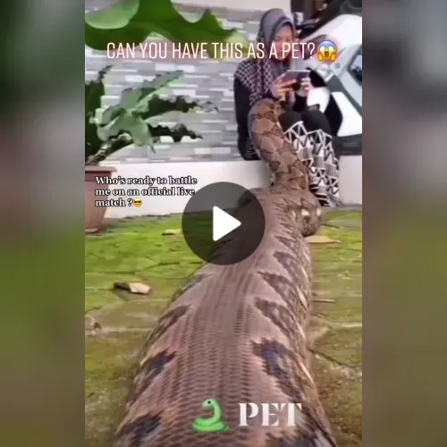 Comment “official match” if you wanna go on a live match with me.😎