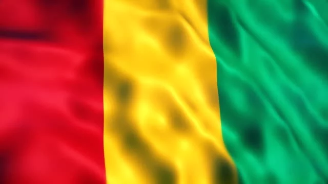 Coup: ECOWAS suspends Guinea as Nigeria joins mission to embattled country