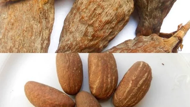 Grind Alligator Pepper With Kola nut And Soak In 7up, Drink 2 Times ...