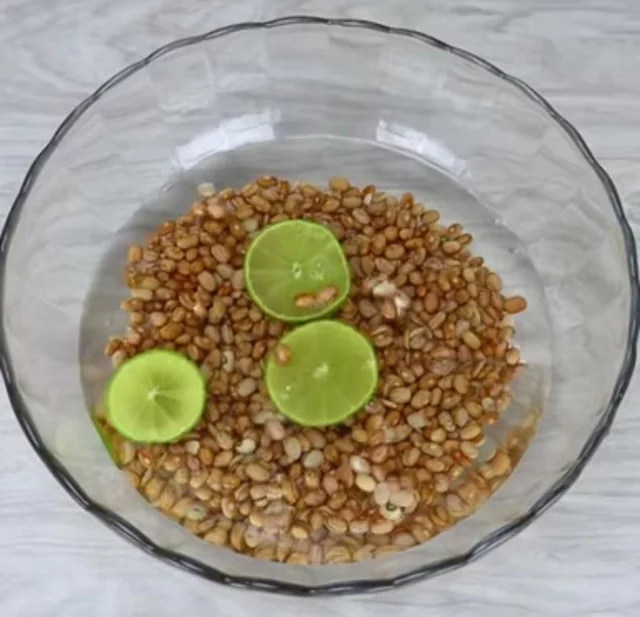 Astuce : Comment ramollir du haricot pour la cuisson